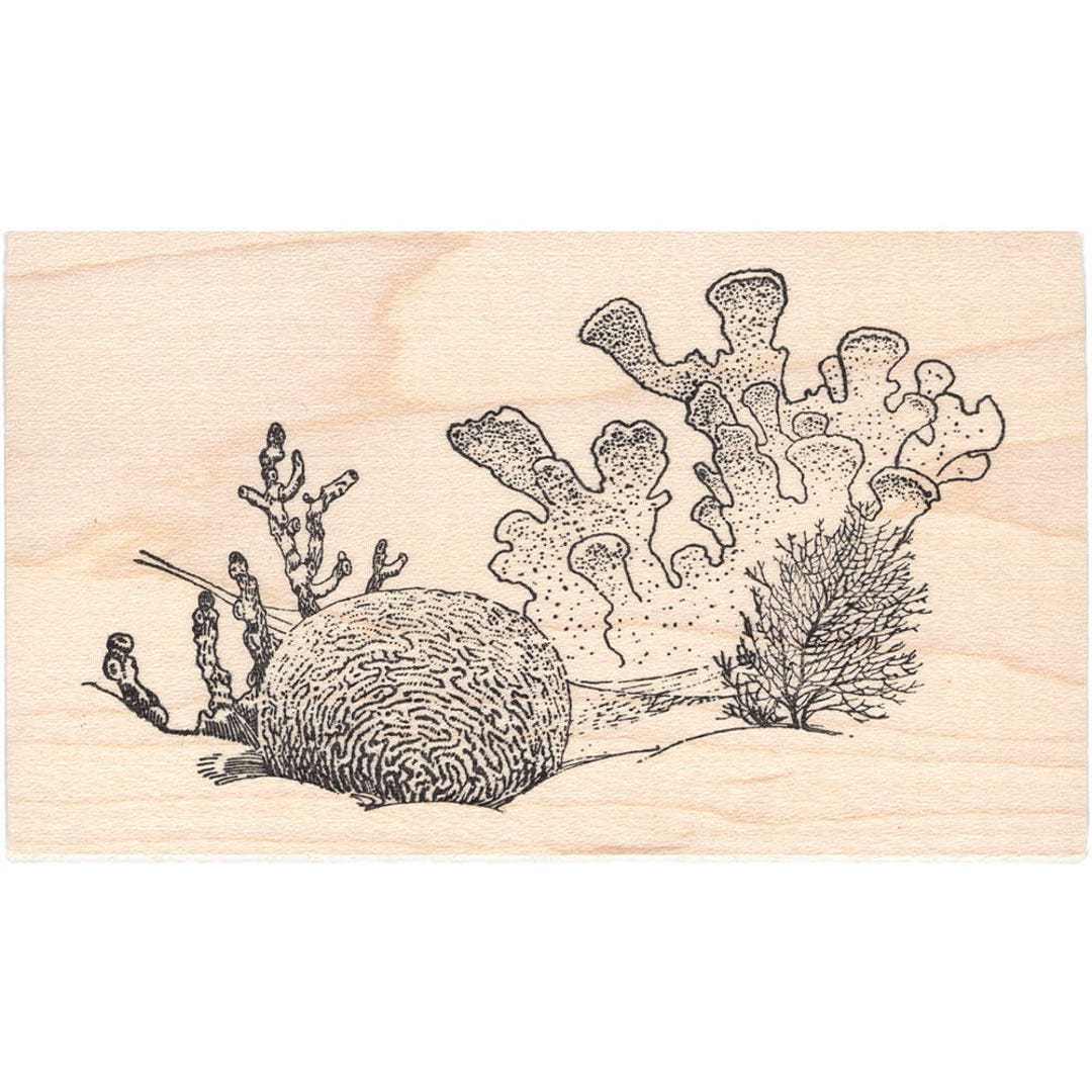 Coral 1463L Coral Reef Rubber Stamp, Ocean, Sea, Scenic, Landscape ...