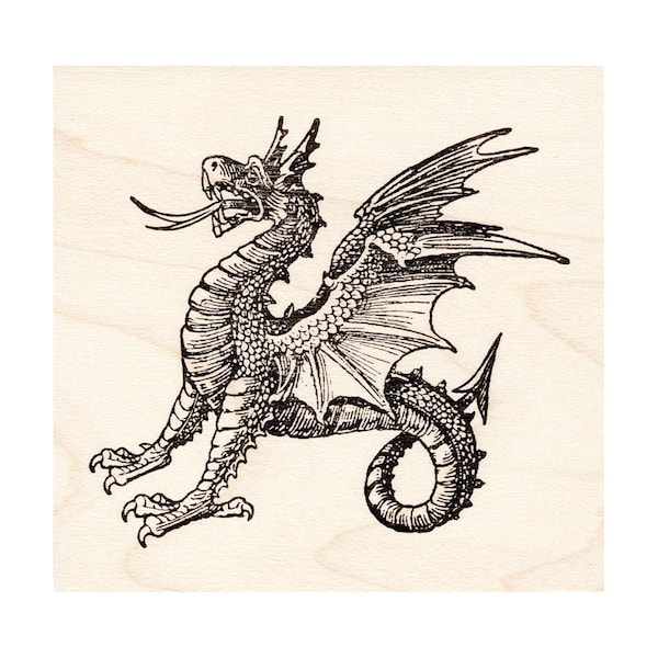 Dragon Stamp - Etsy