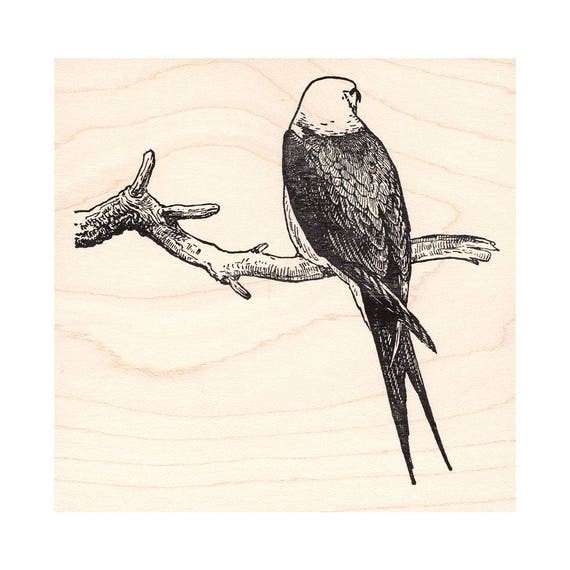 Hawk Back 1129L Bird Rubber Stamp Animal Scenic Landscape | Etsy