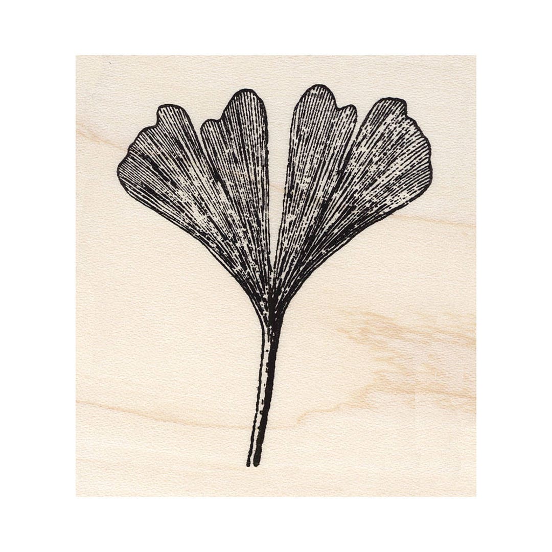 Split Ginkgo Leaf 1536J Beeswax Rubber Stamps Unmounted, Cling, Mounted ...