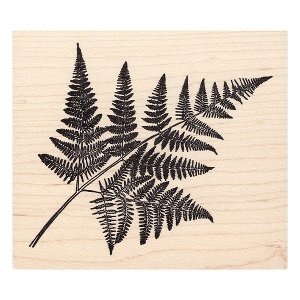Fern Stamp - Etsy