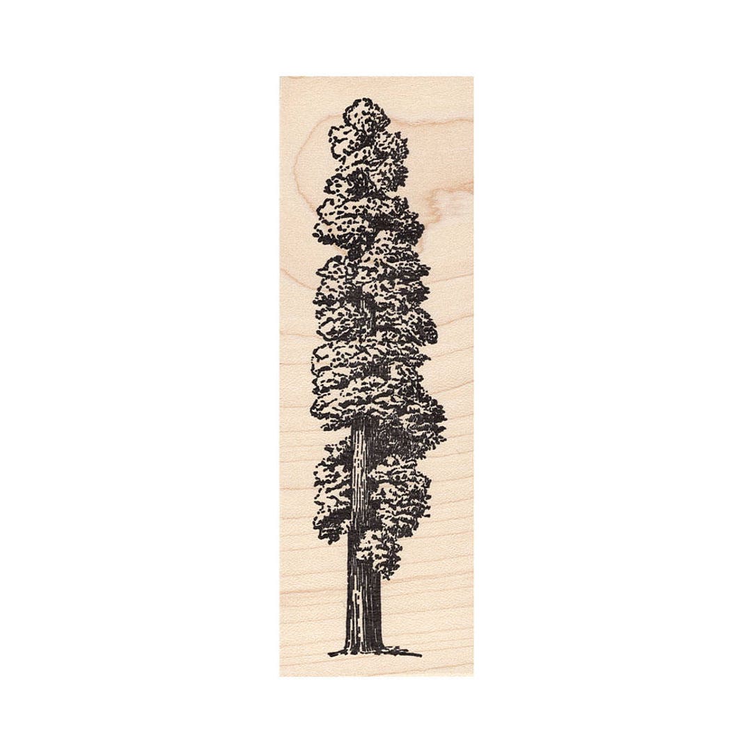 Redwood Tree 869M Beeswax Rubber Stamps Unmounted, Cling, Mounted Stamp ...