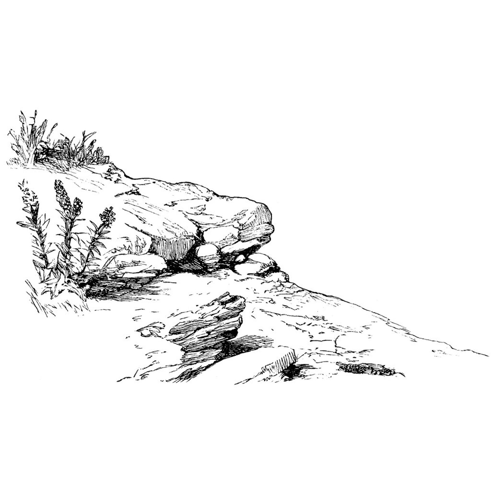 Rocky Cliff 1112L Beeswax Rubber Stamps Unmounted, Cling, Mounted Stamp ...