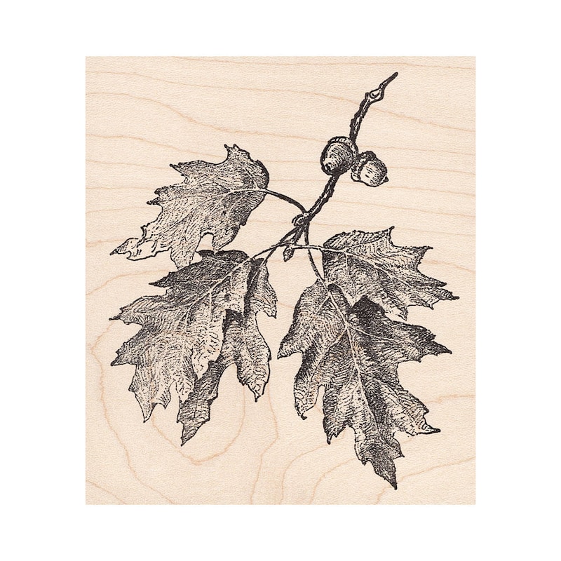 Tree Rubber Stamp - Etsy