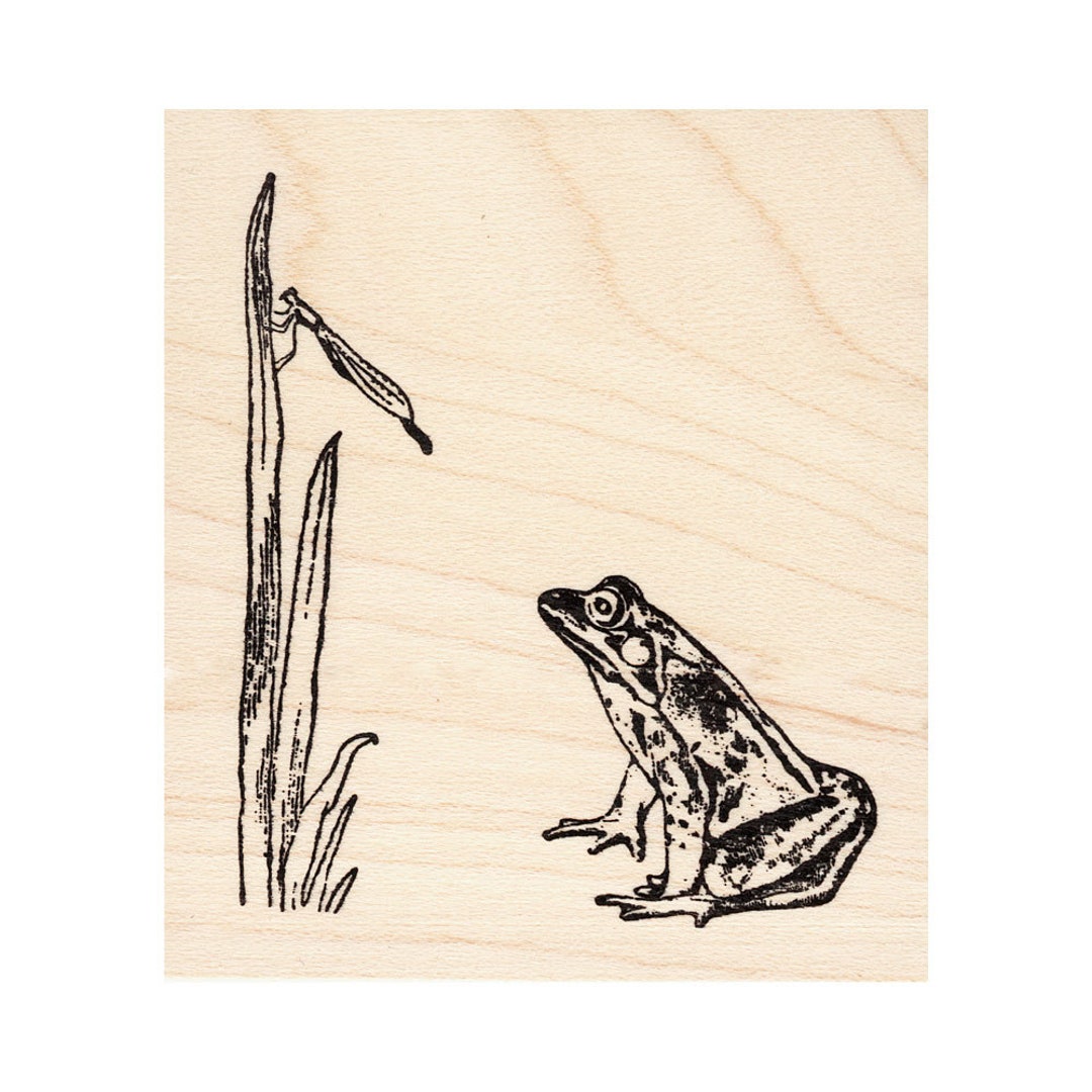 Frog & Insect 1489I Beeswax Rubber Stamps Unmounted, Cling, Mounted ...