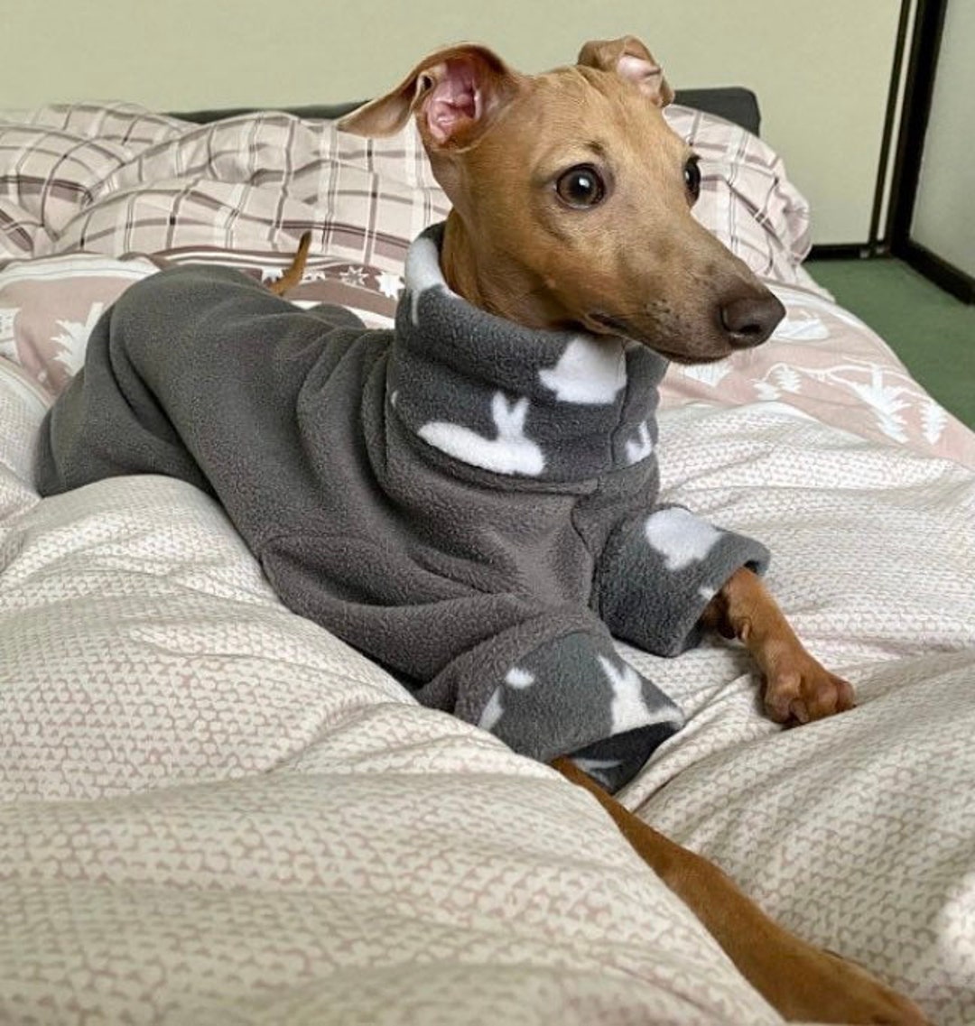 Greyhound Pyjamas, Greyhound Clothing, Greyhound, Dog Pyjamas, Whippet ...