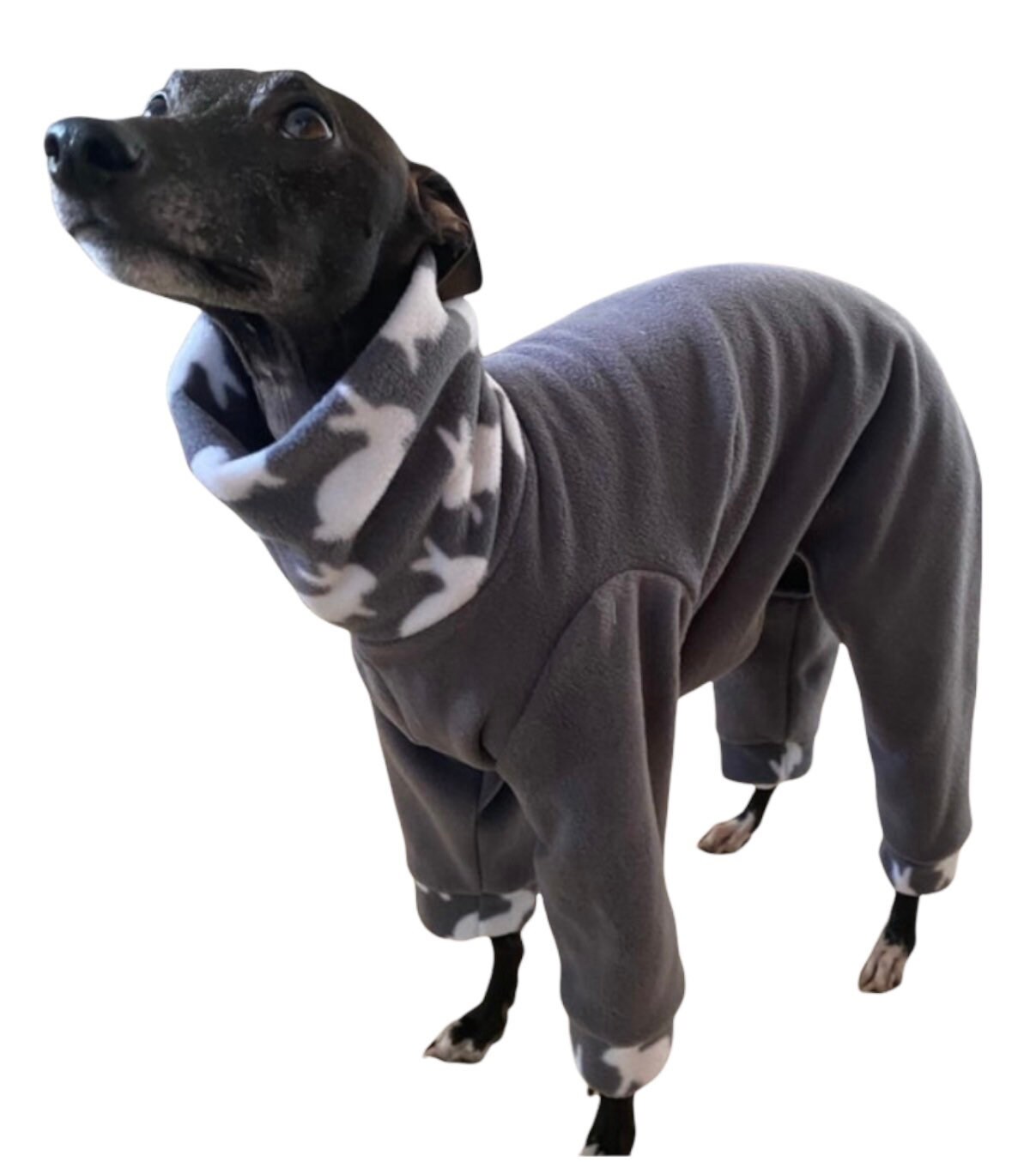 Greyhound Pyjamas Greyhound Clothing Greyhound Dog Pyjamas | Etsy UK