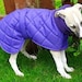 Italian Greyhound Quilted Waterproof Winter Coats,cirneco Dell'etna ...