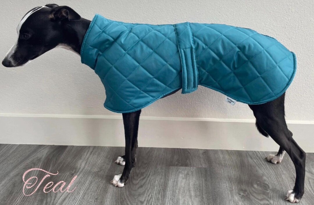 Greyhound Jackets - Whippet Jackets - Waterproof Winter Jacket for ...
