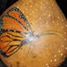Moth and Monarch Gourd Lantern - Etsy