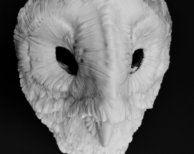 Barn Owl Mask - Etsy