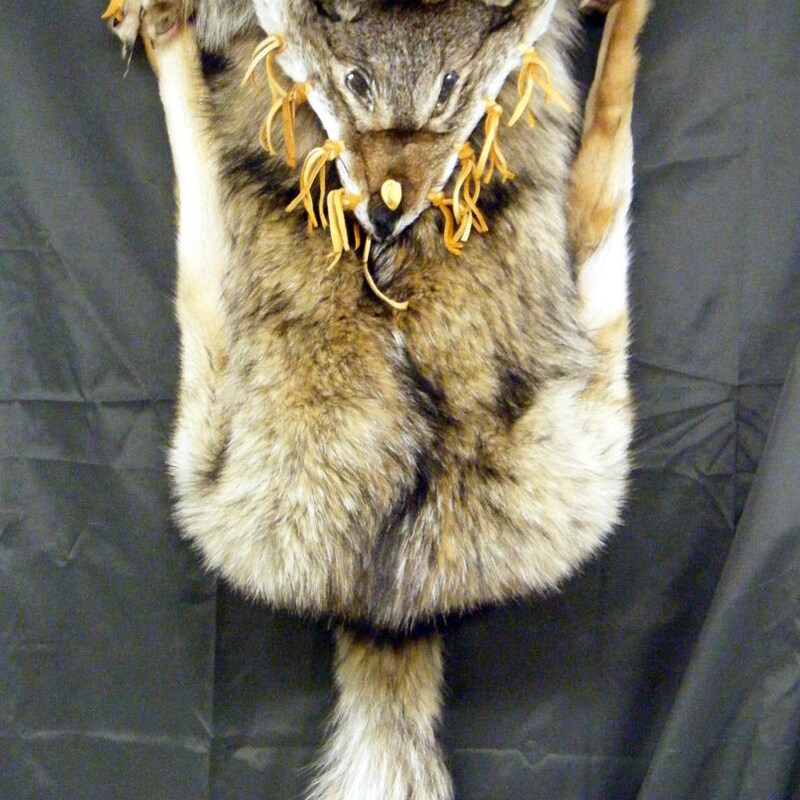 Therian Backpack - Etsy