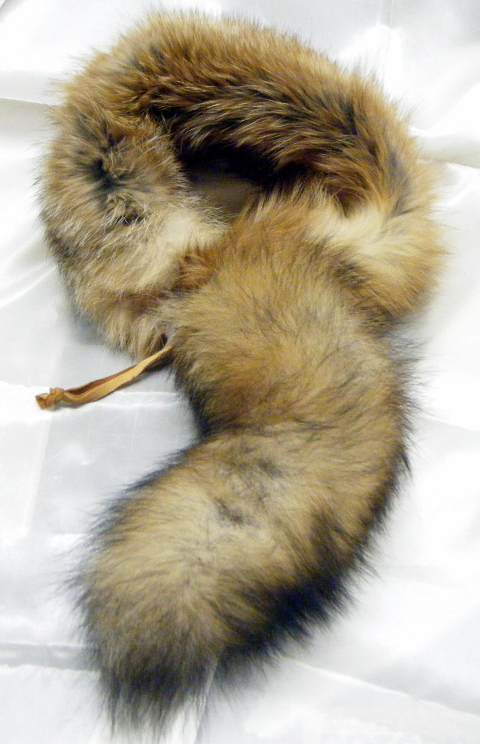 Red Fox Neckwarmer or Red Fox Neck Warmer With Tail. | Etsy