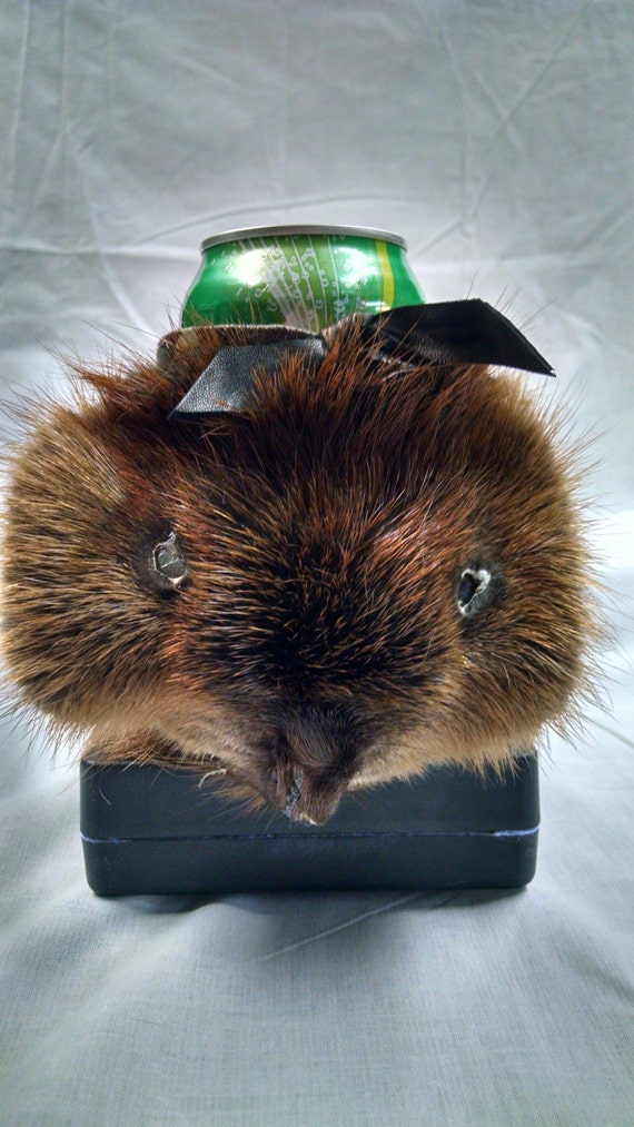 Beaver Face can holder | Etsy