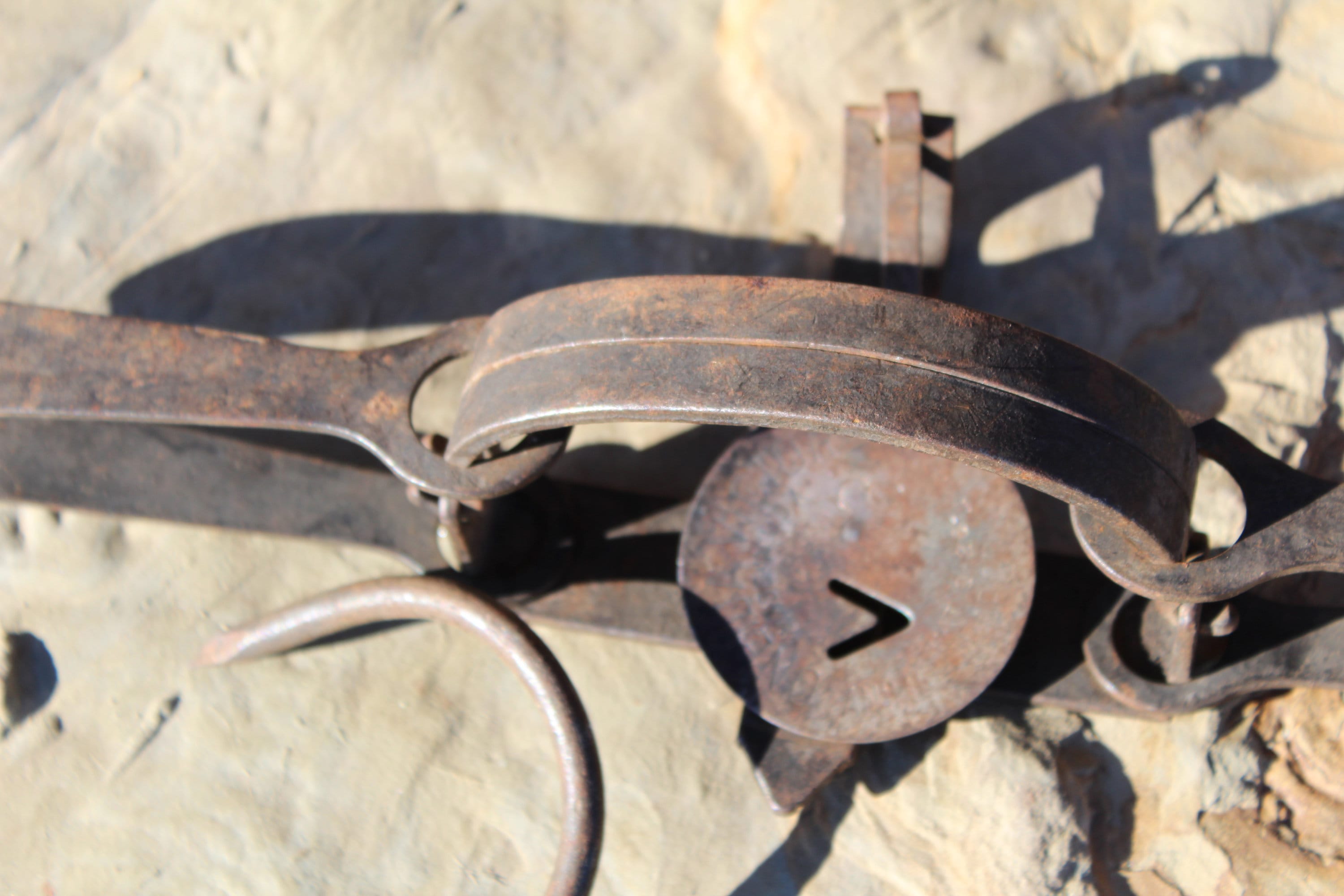 Antique Victor 3 Double Long Spring Animal Drag Trap, Fur Trapper