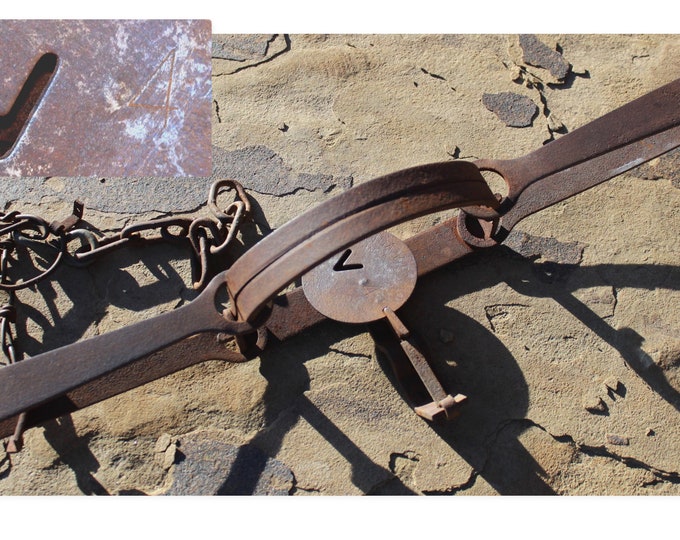 Victor 4 Large Double Long Spring Animal Trap, Fur Trapper - Etsy