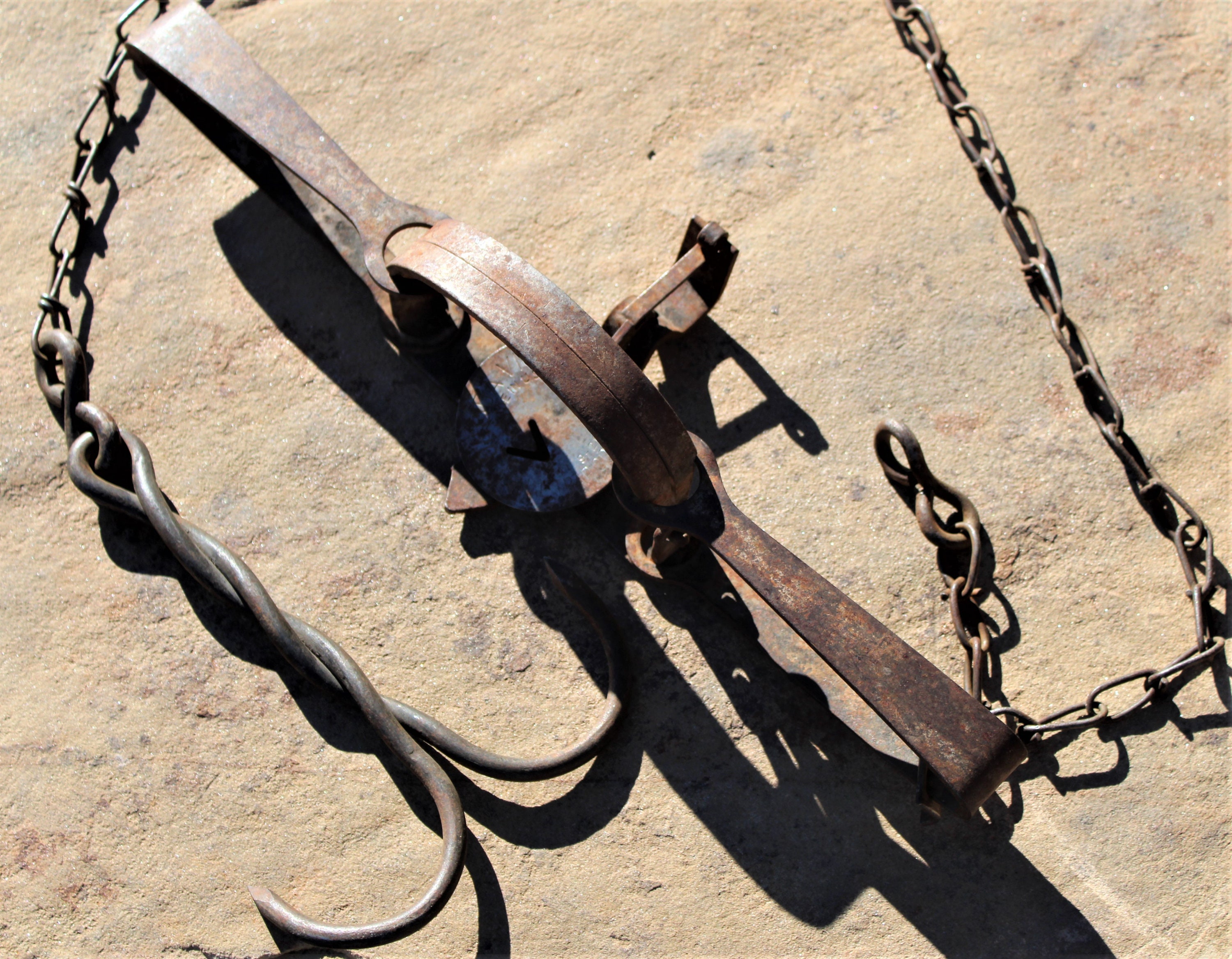 Antique Victor 3 Double Long Spring Animal Drag Trap, Fur Trapper