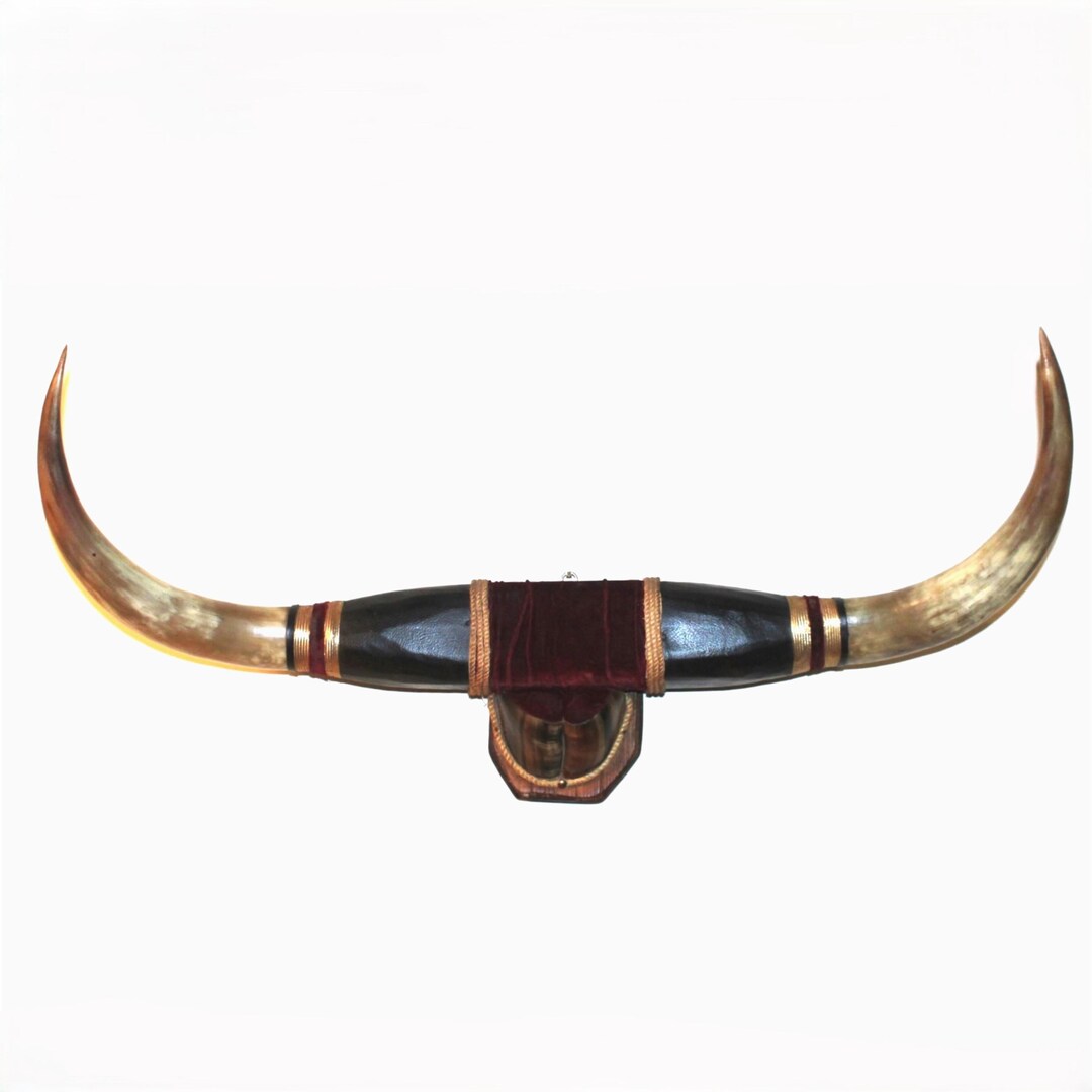 Antique Bull Horns, Wall Mount Horns - Etsy