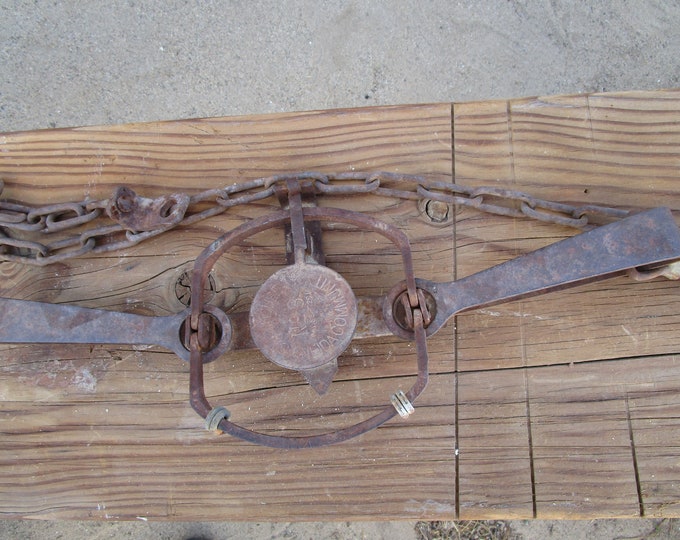 Newhouse Oneida Community Double Long Spring Trap. - Etsy