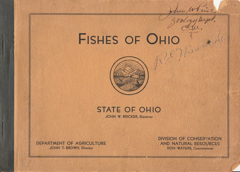 Vintage Art Print-book Plate-lithograph-animals, Fishes of Ohio, Brook ...