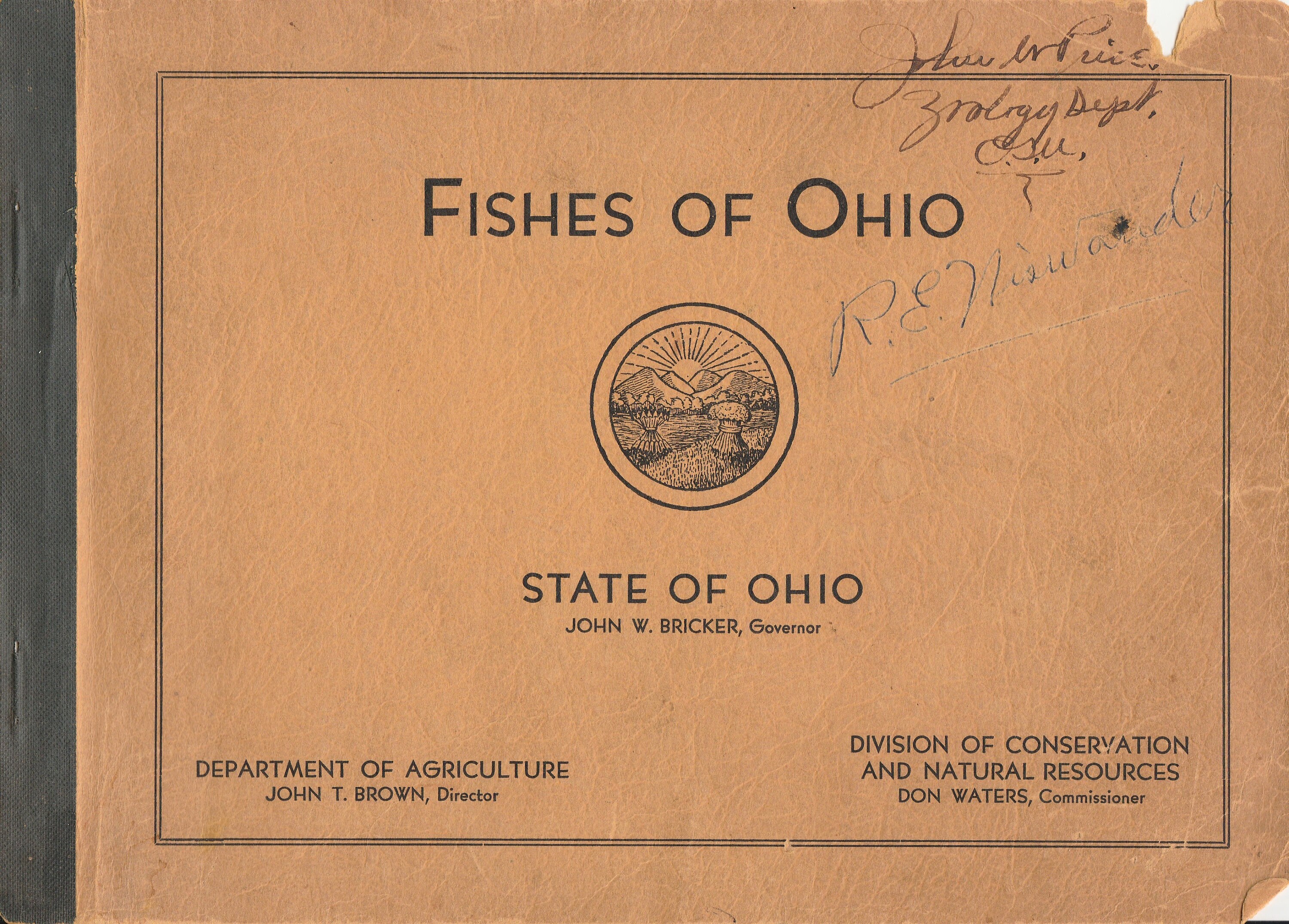 Vintage Art Print-book Plate-lithograph-animals, Fishes of Ohio, Brook ...