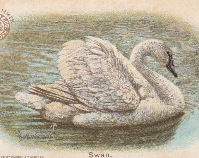 Antique Paper Ephemera Victorian Trade Card Set of 4-arm & Hammer ...