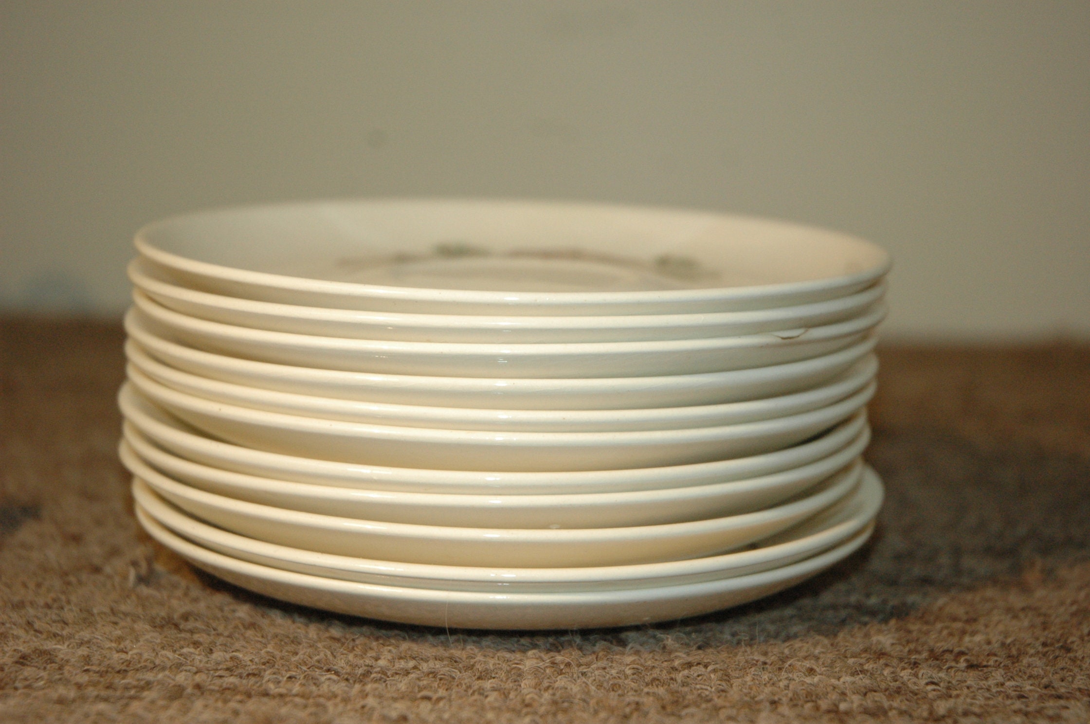 Vintage Stetson Dinnerware Cup and Saucer...misty Pine Pattern...mid ...