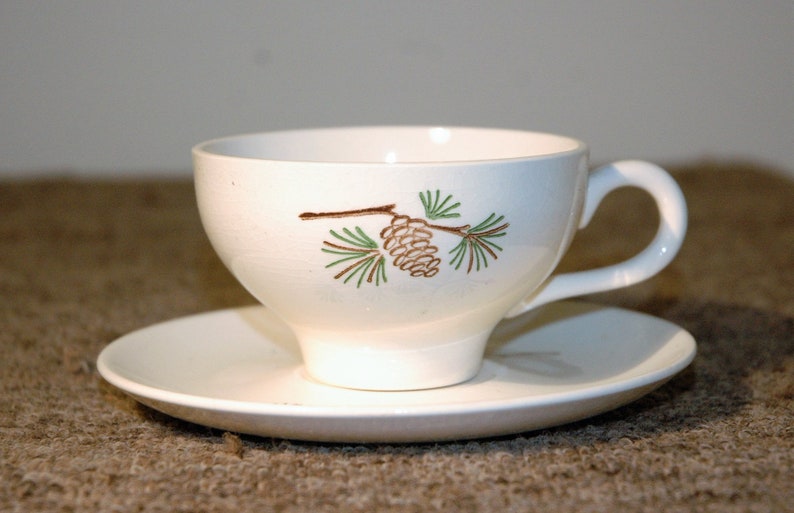 Vintage Stetson Dinnerware Cup and Saucer...misty Pine Pattern...mid ...