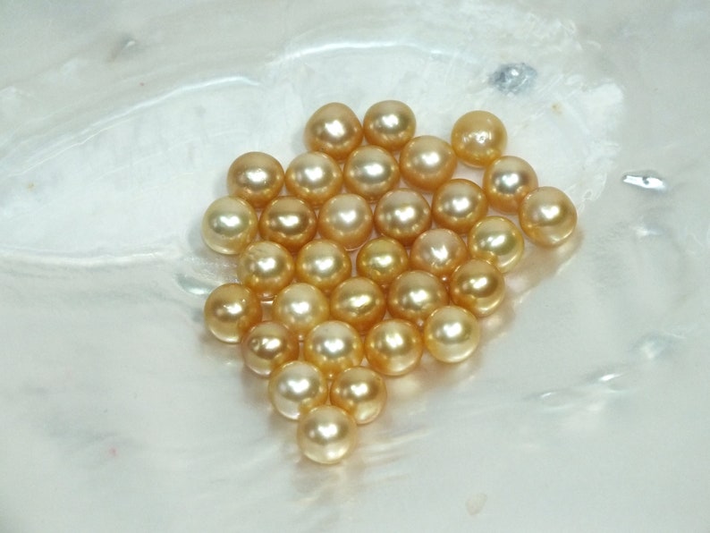 Saltwater Golden South Sea Pearls for DIY Jewelry & Unique Necklaces - Etsy