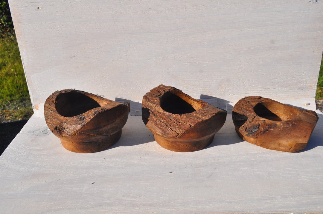Live Edge Planter Bowls 3-4" Deep 4 "-5" Wide - Etsy