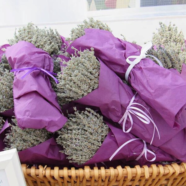 Lavender Bundles - Etsy
