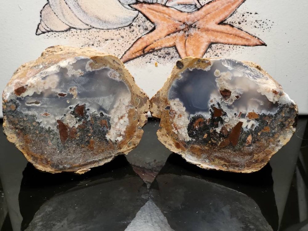 Plume Agate Thunder Egg Stone Blue Chalcedony Rough Cut in Half 580 Grams Total Weight Rare ...