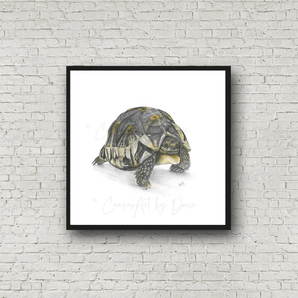 Tortoise Print - Etsy UK