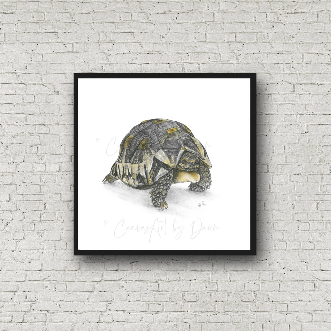 Tortoise Wall Art Funny Tortoise Print Cute Kitchen Art - Etsy