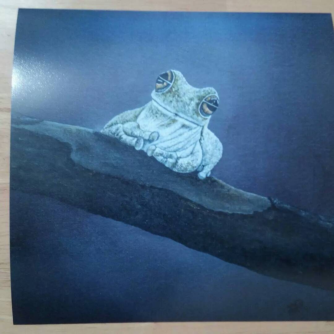 Large Square Frog Print Toad Frog Art Cute Frog Print Cute Animal Print ...