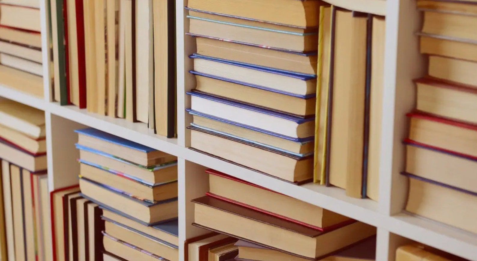 Backward Displayed Books for Decorating and Shelf Filling Sold by the ...