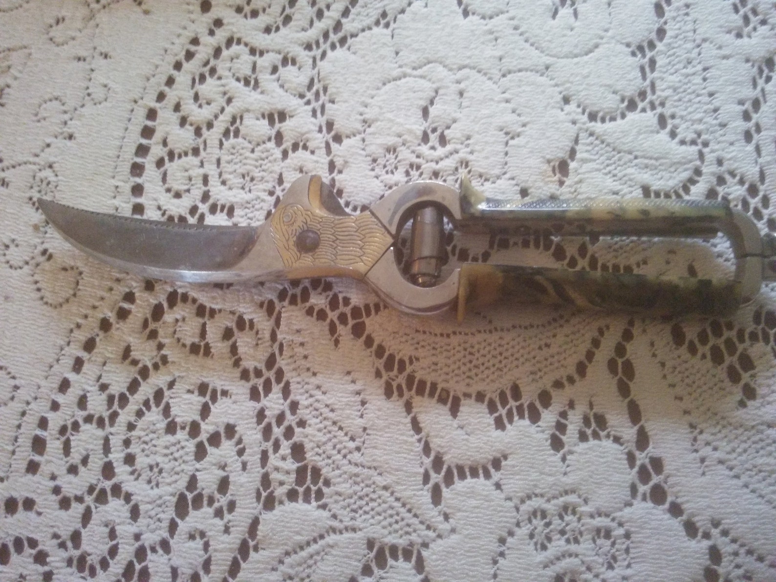 Vintage Poultry Cutter - Bird Shaped Poulty Cutter - Kitchen Shears ...