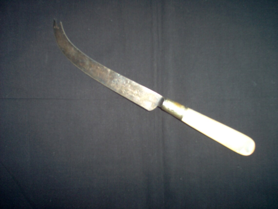 Vintage Mother of Pearl Handled Fish Knife | Etsy