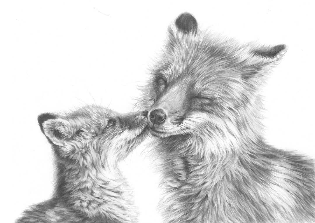 Mum and Baby Fox Pencil Drawing, Fox Kiss Print, A4 Animal Art Print ...
