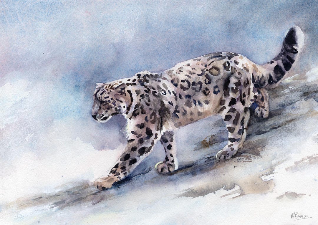 Snow Leopard Watercolour Art Print, Leopard Wall Art, Wildlife ...