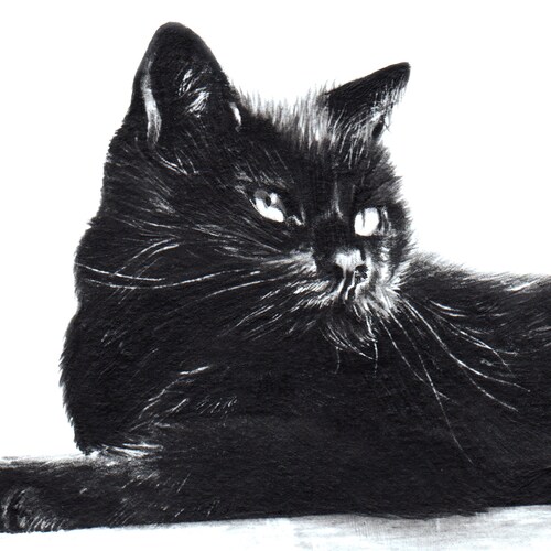 Monochrome Cat Art Print - Etsy