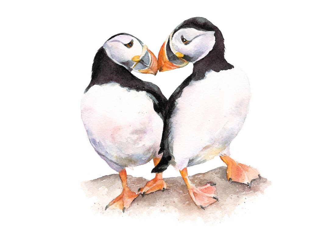 Puffin Love Watercolour Print, Puffin Wall Art Print, Fine Art Giclée ...