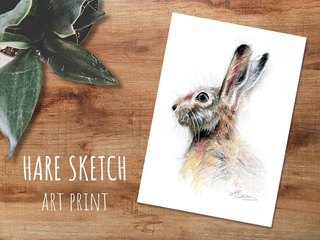 Hare Wall Art Print by UK Animal Artist British Wildlife - Etsy UK