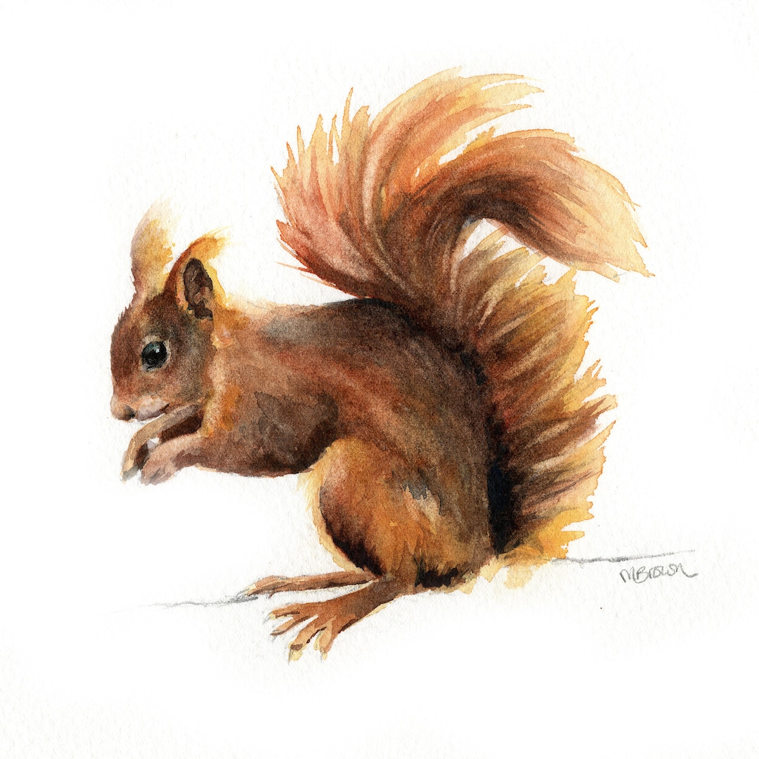Red Squirrel Art Print Watercolour Painting Squirrel Wall - Etsy