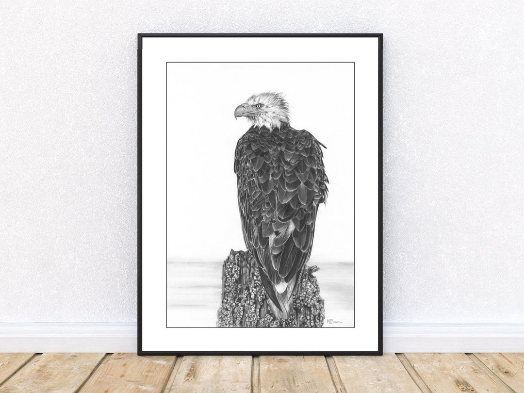 Bald Eagle Art Print, North America Eagle Drawing, Bird of Prey Wall ...