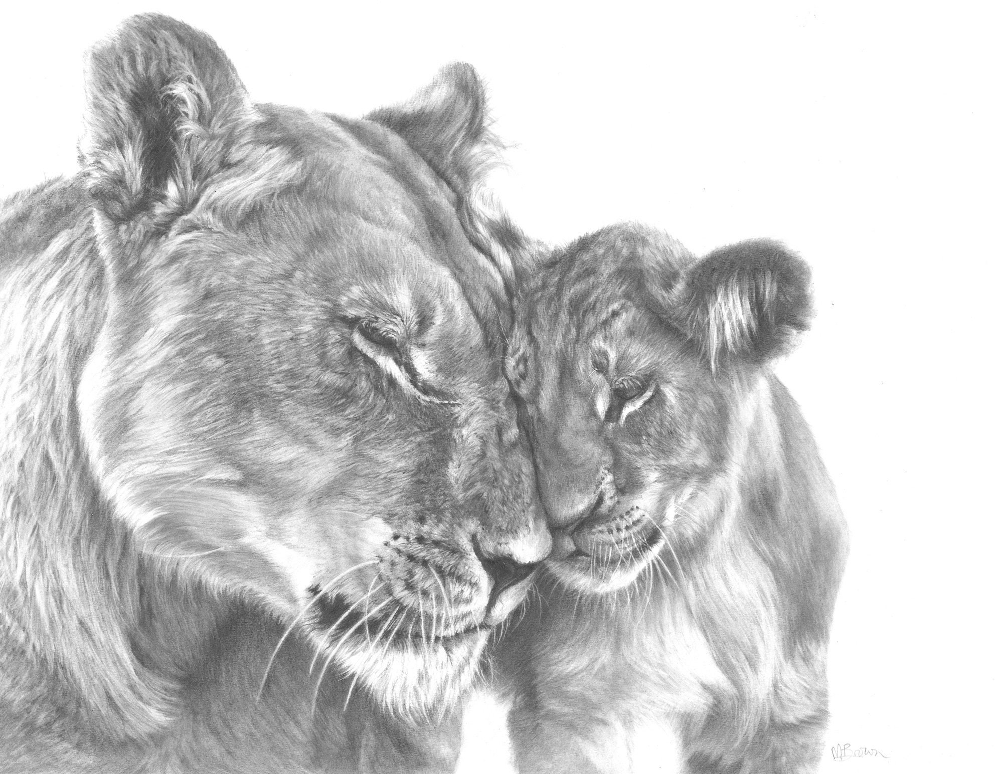 Lion Mother and Cub Art Print Lion Drawing Lion Love Gift - Etsy Canada
