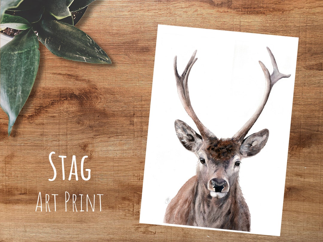 Stag Watercolour Art Print, Stag Wall Art, Wildlife Art, British ...