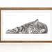 Tabby Cat Print, Tabby Cat Wall Art, Cat Drawing, Fine Art, Gift for ...