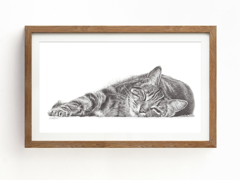 Tabby Cat Print, Tabby Cat Wall Art, Cat Drawing, Fine Art, Gift for ...