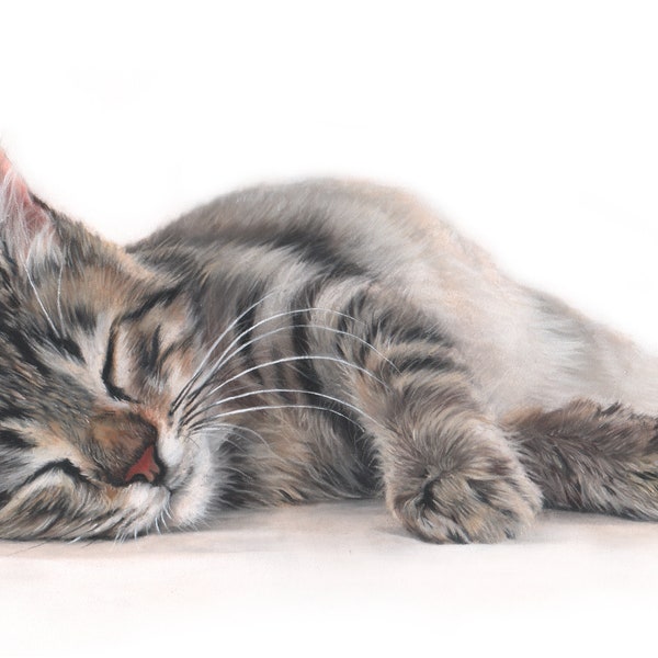 Sleeping Cat Drawing - Etsy